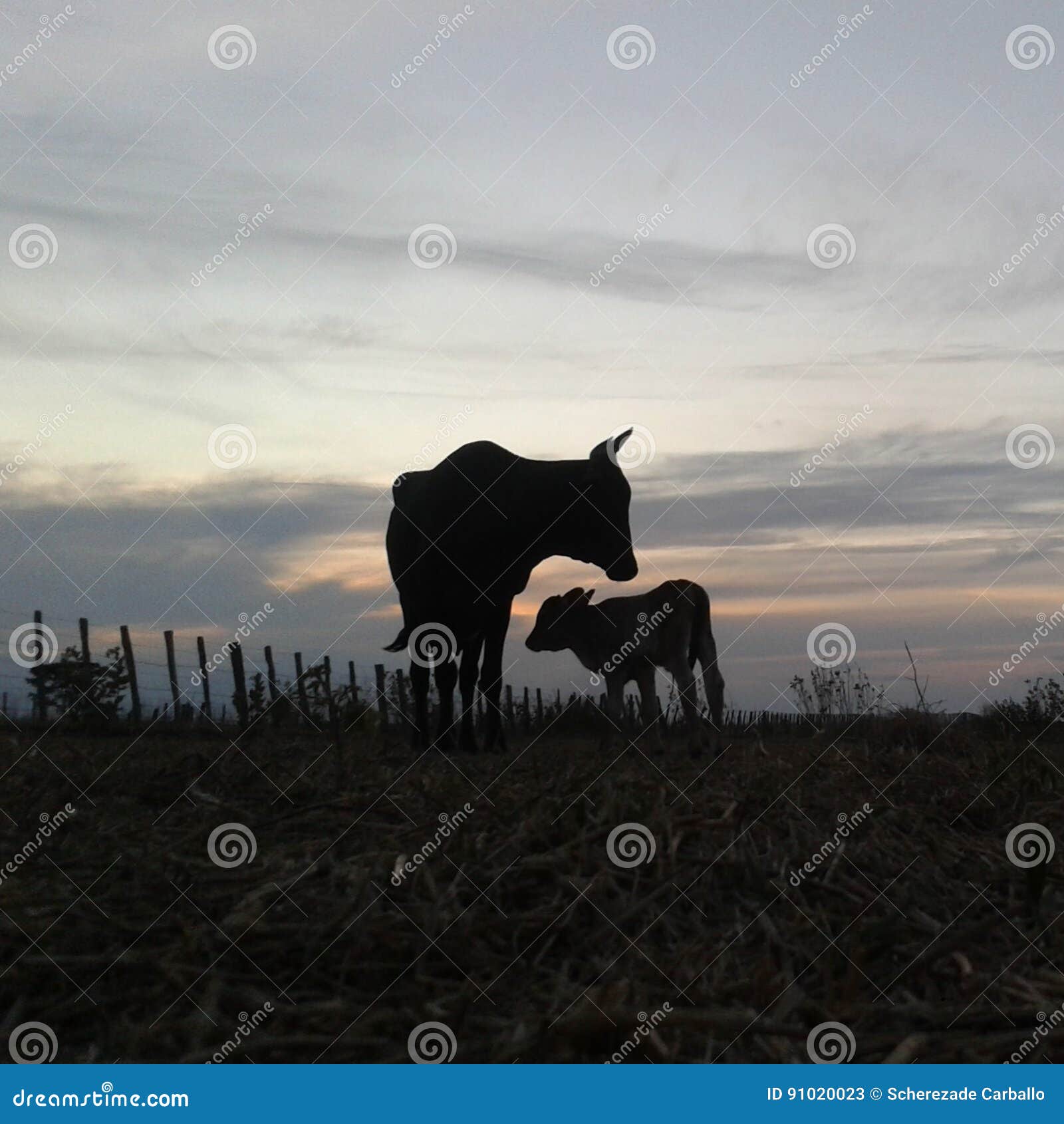 Mother Nature stock image. Image of nature, mother, maternal - 91020023