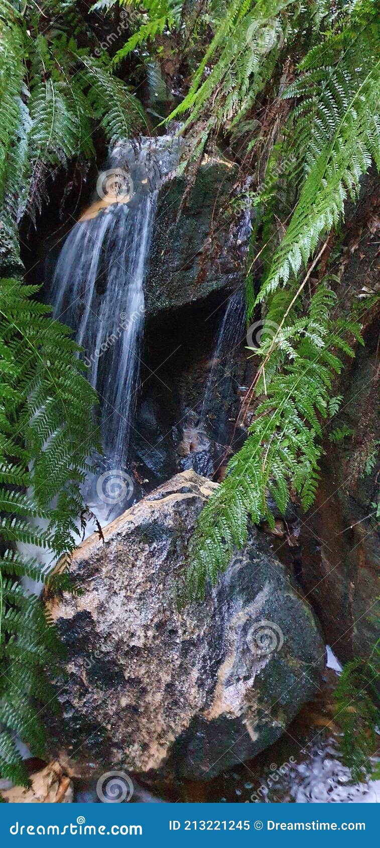 Mother nature water stock image. Image of wilderness - 213221245