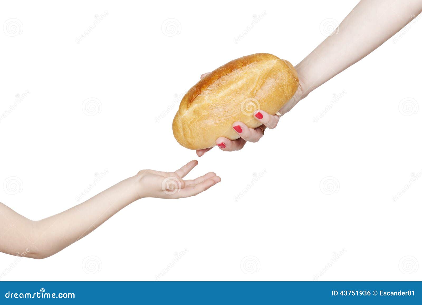 Mother Passes Bread To Child Isolated on White Stock Photo - Image of ...