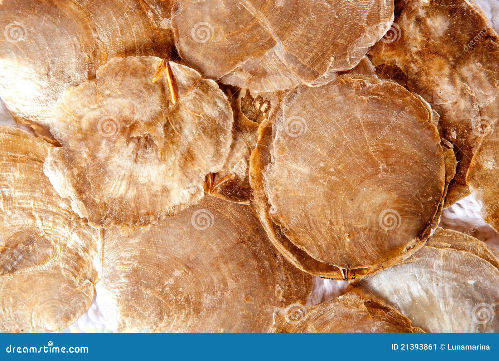 Mother of Pearl Brown Round Shells Stock Image - Image of glitter ...