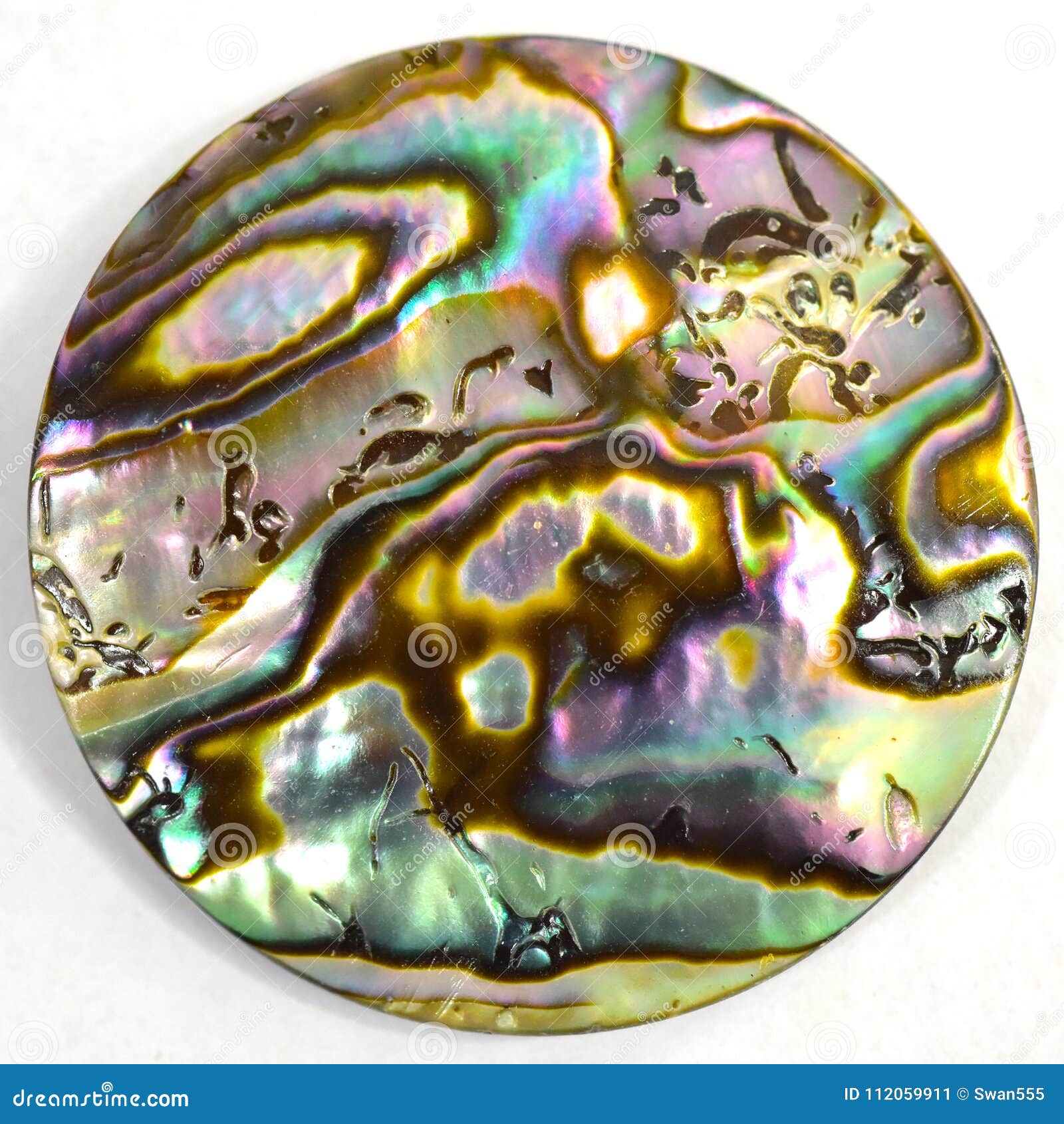 Mother of pearl shells stock image. Image of nature - 112059911