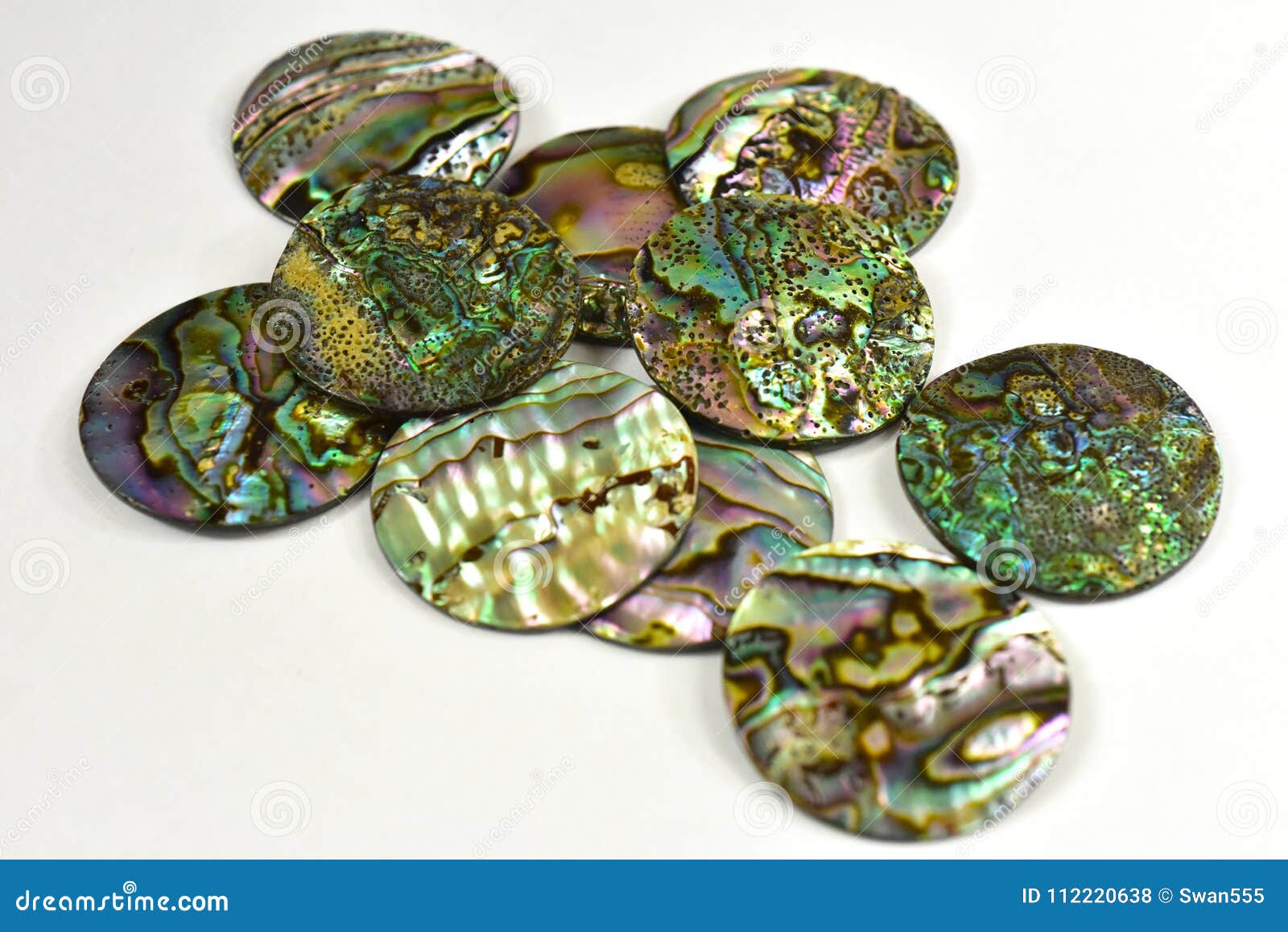 Mother of pearl shells stock photo. Image of nature - 112220638