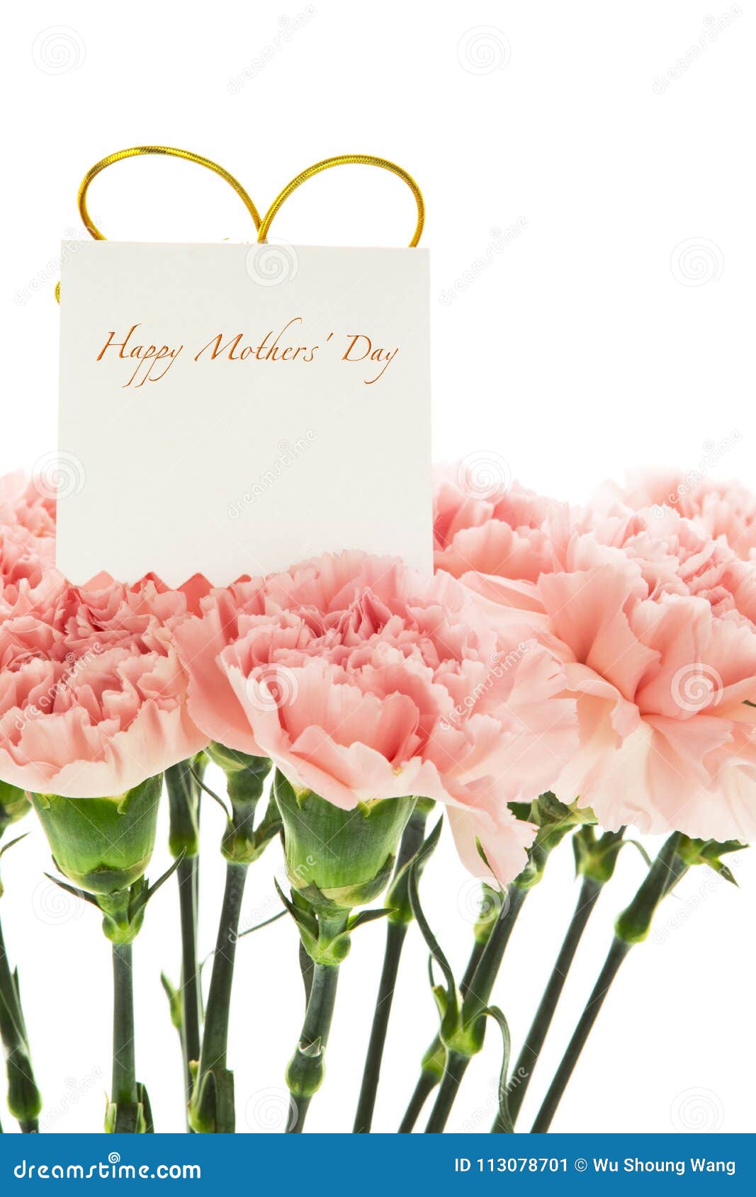 Mother`s Day Carnations Pink Carnations Stock Image Image Of