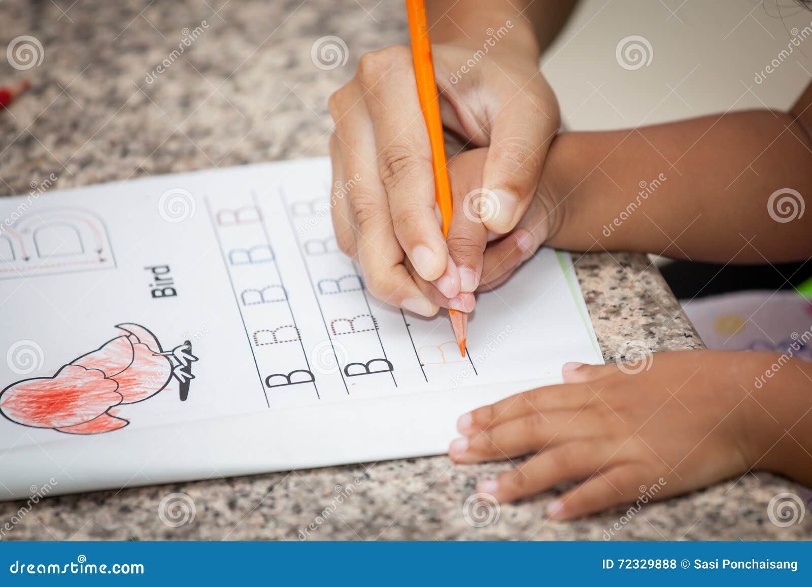 Mother S Hand Holding Child Hand Writing Her Homework Stock Photo ...