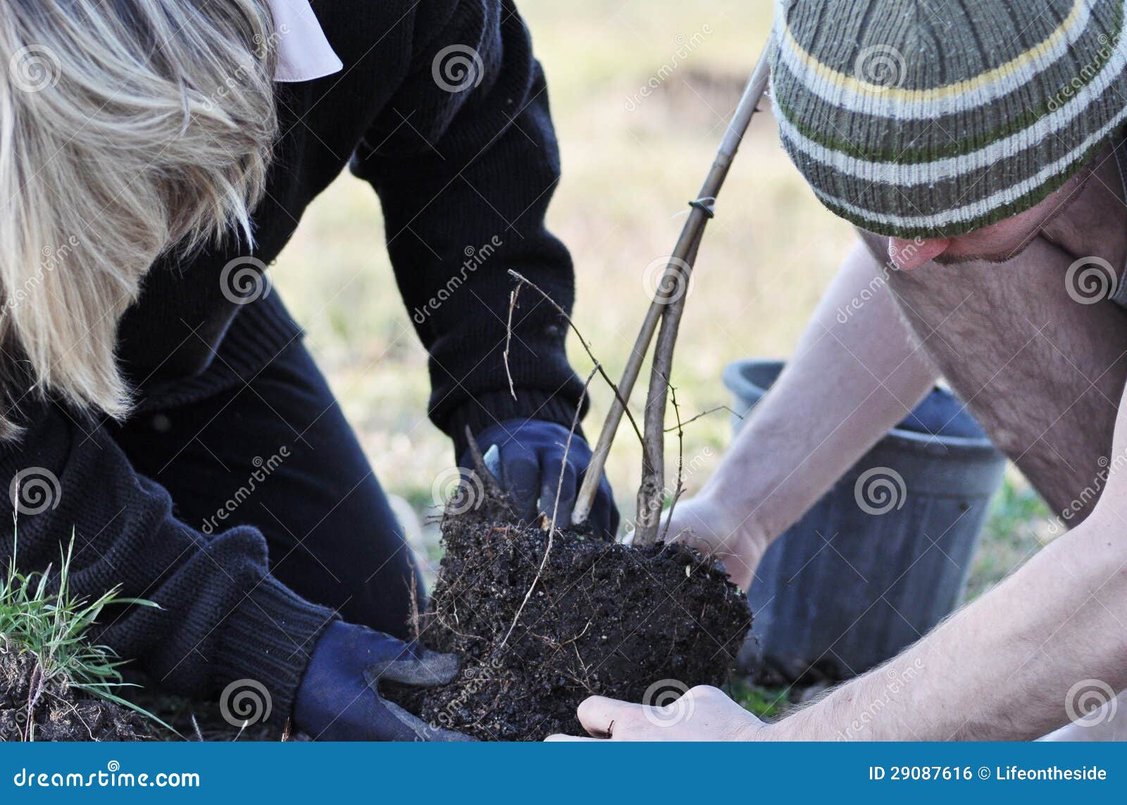 Mother & Son Planting a New Young Tree Together Ou Stock Photo - Image ...