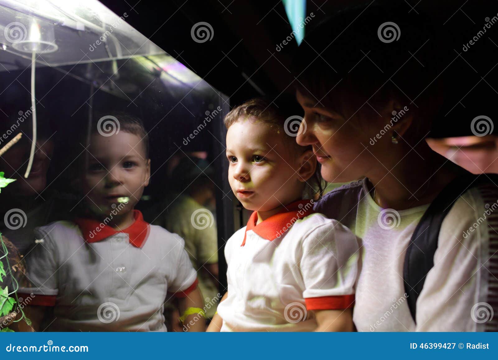 Mother and Son Watching Insects Stock Image - Image of contemplation ...