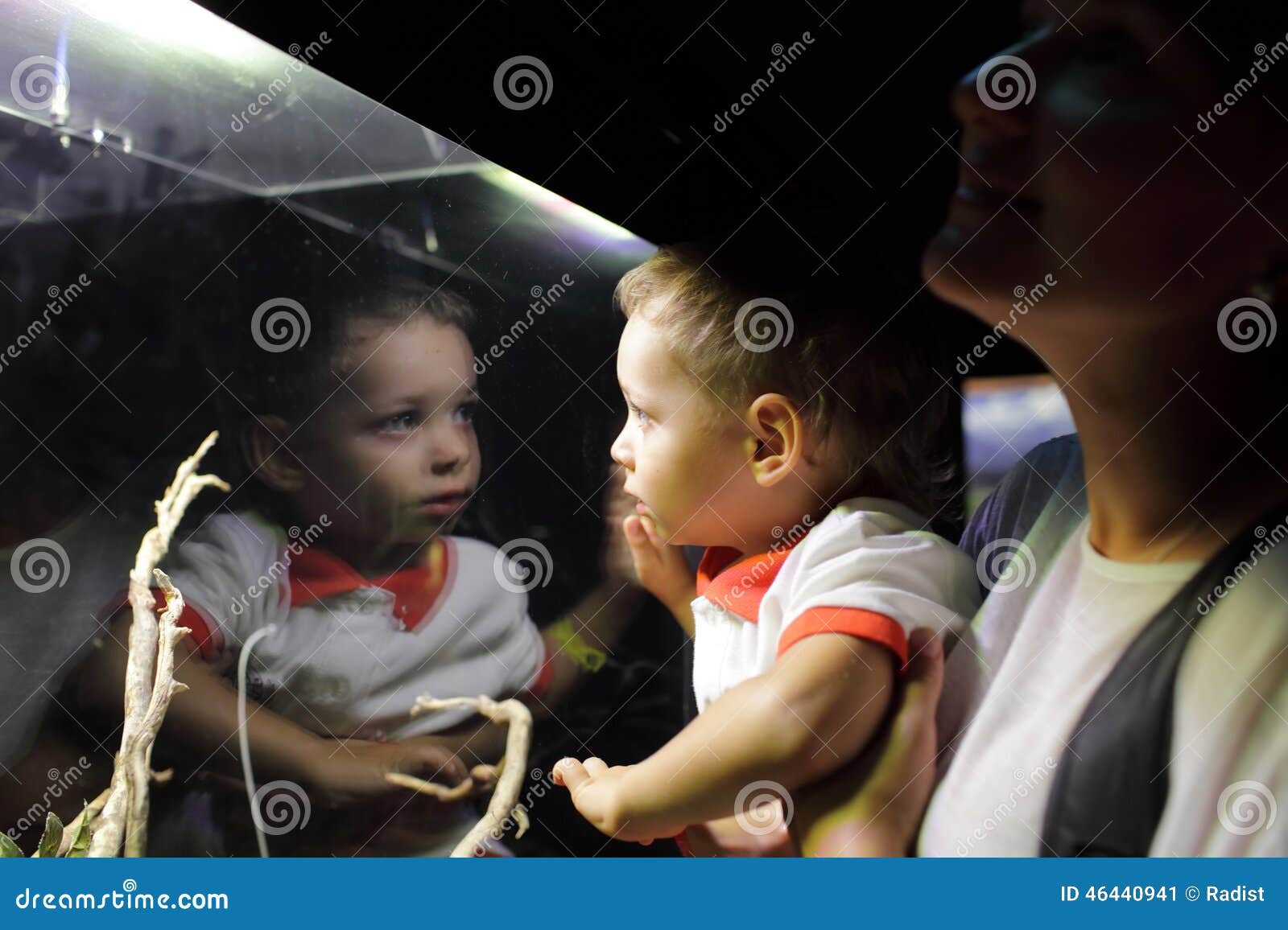 Mother with Son Watching Insects Stock Image - Image of contemplation ...