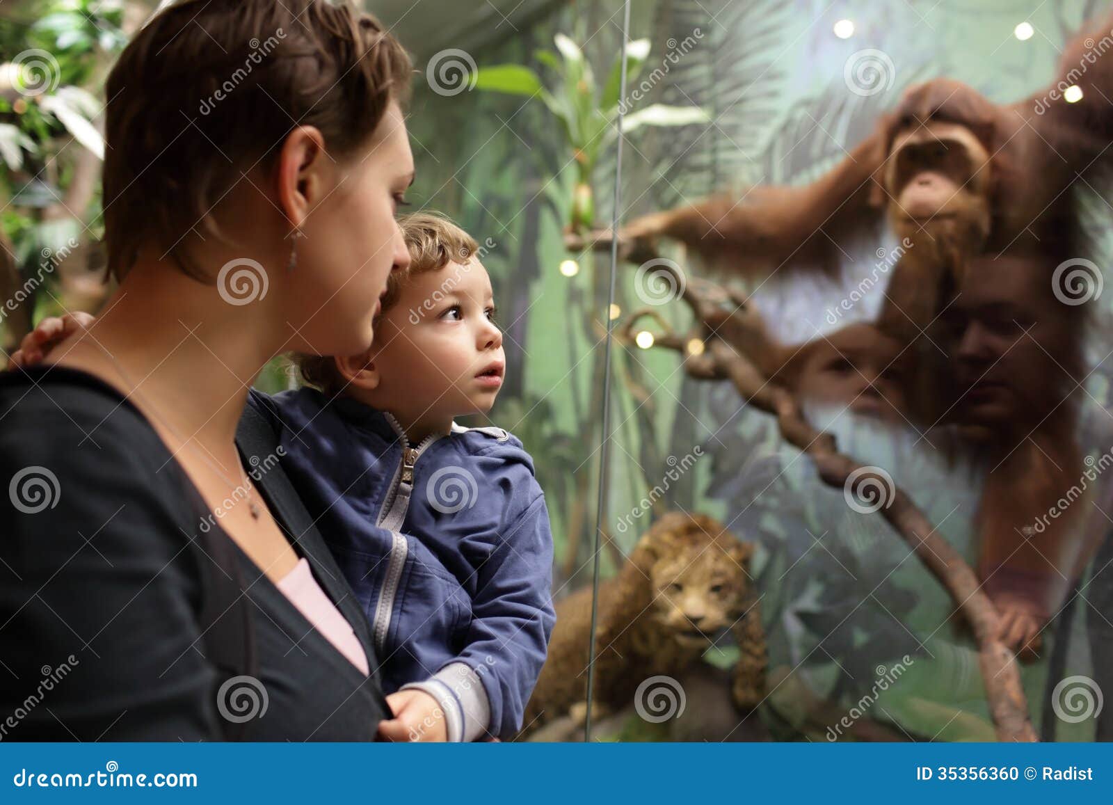 Mother Tells Her Son about Monkey Stock Photo - Image of lifestyle ... Mother Tells Her Son about Monkey Stock Photo - Image of lifestyle ...