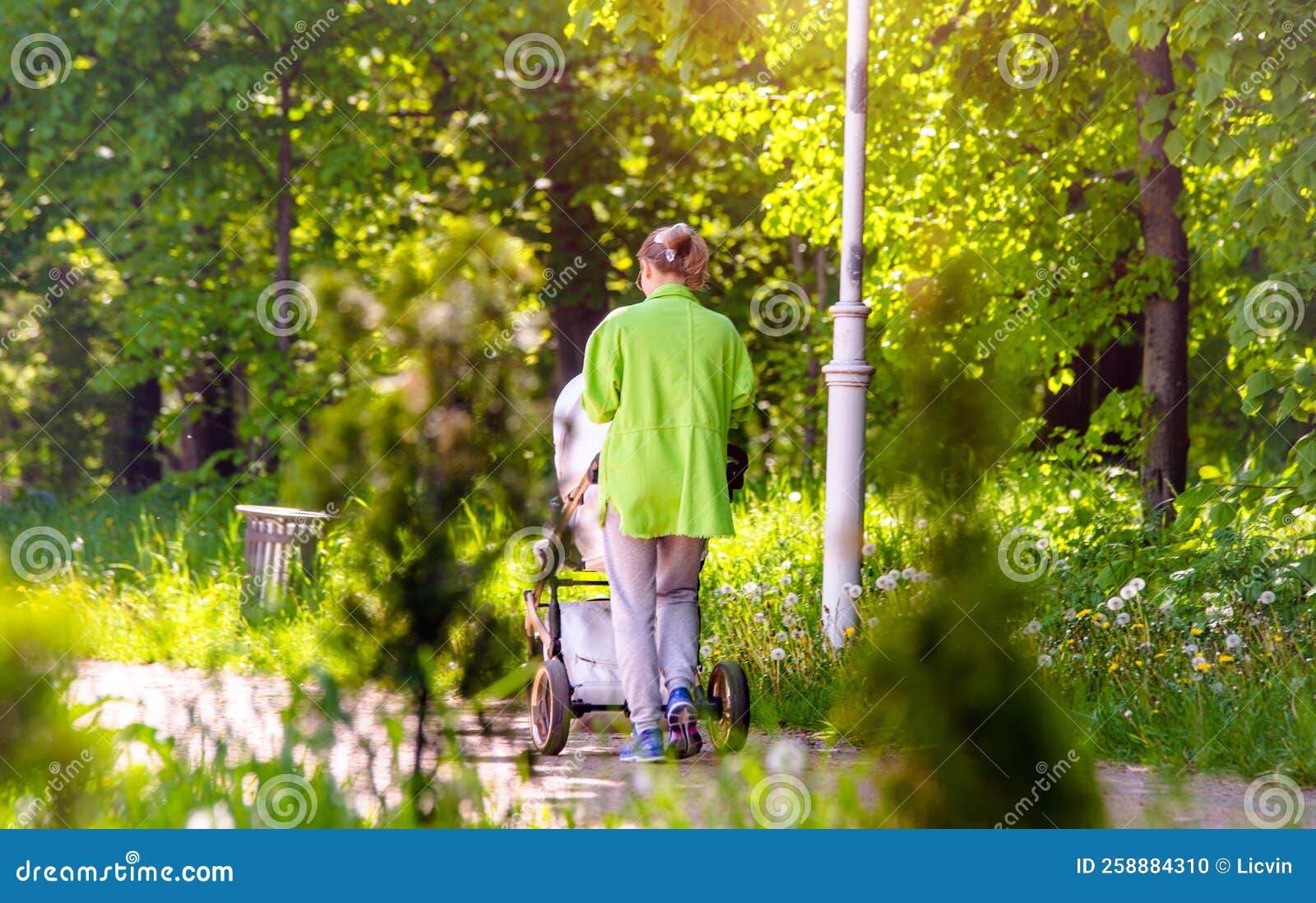 Mother wheeling a pram stock photo. Image of park, happy - 258884310