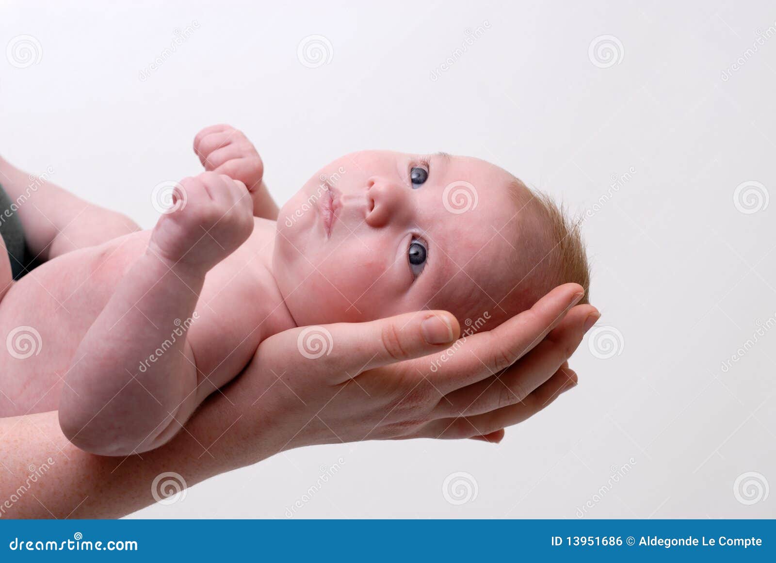 Mothers Hand Holding a Baby Head Stock Photo - Image of male, female ...