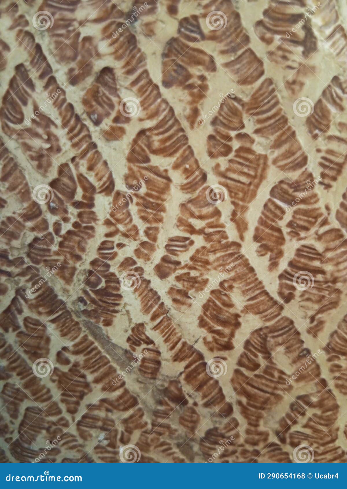 Motif Abstract Form Nature is the Best Stock Photo - Image of form ...