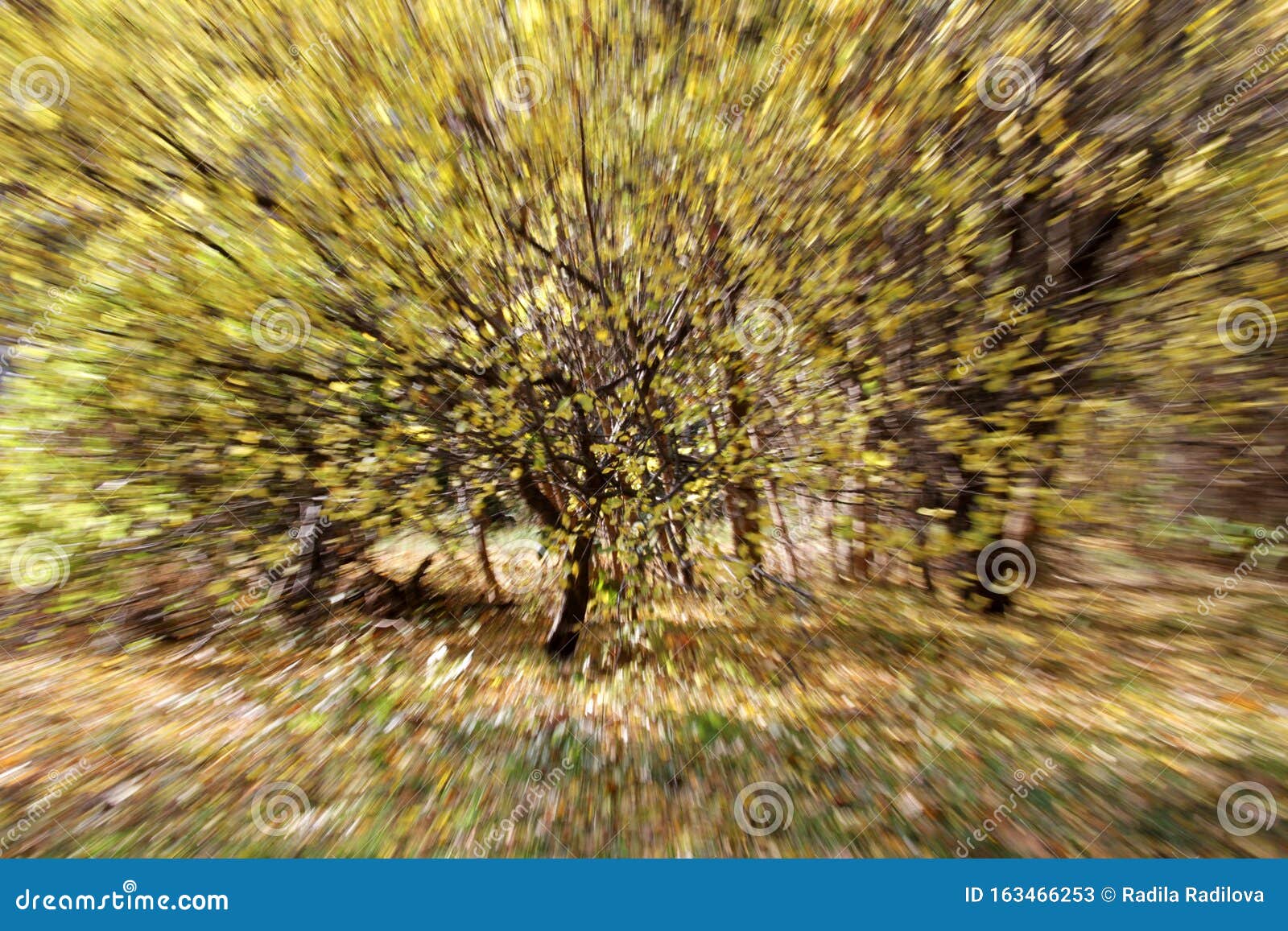 Motion Blur Autumn Trees Background Stock Image - Image of park, light ...