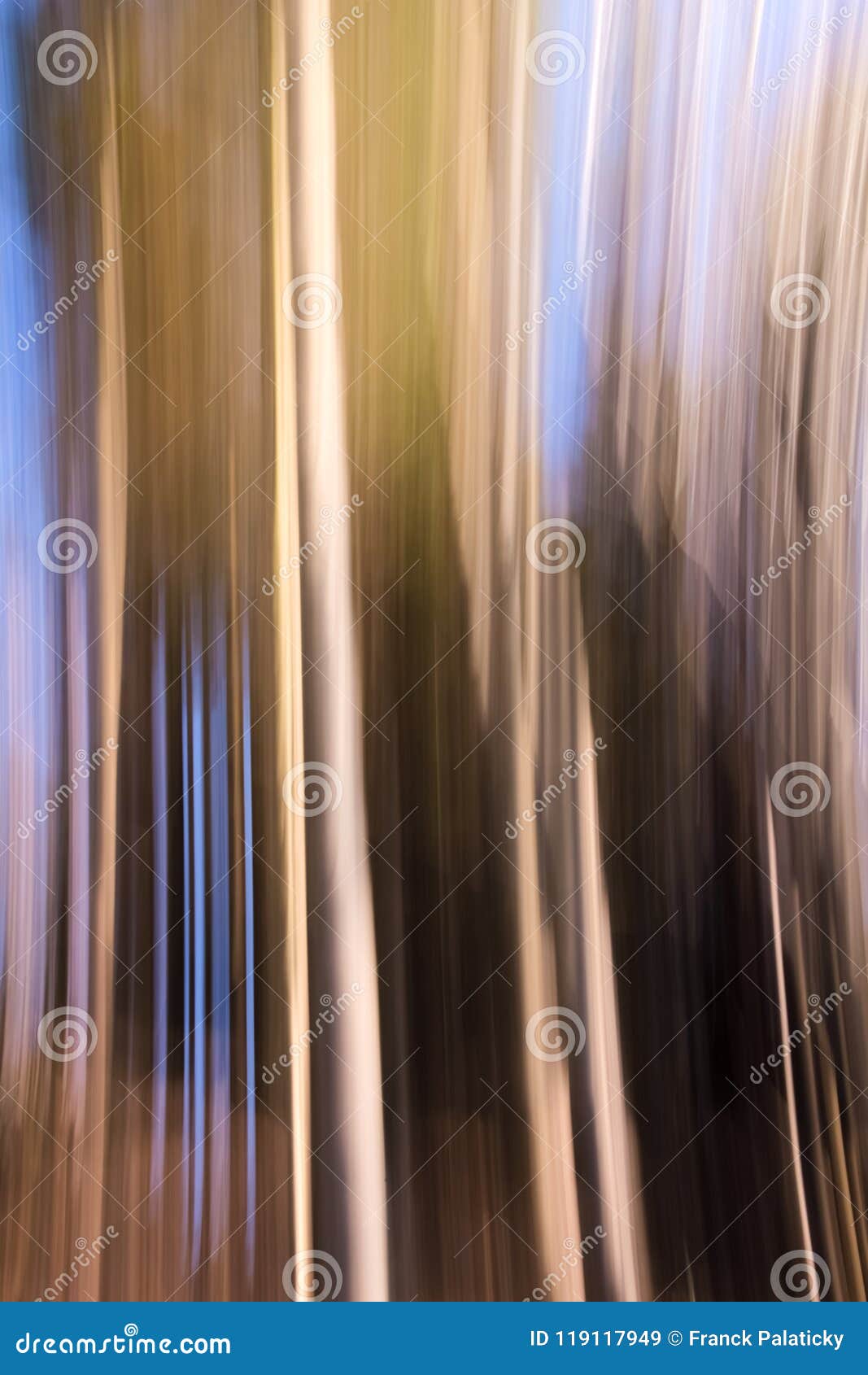Motion blur forest effect stock image. Image of golden - 119117949