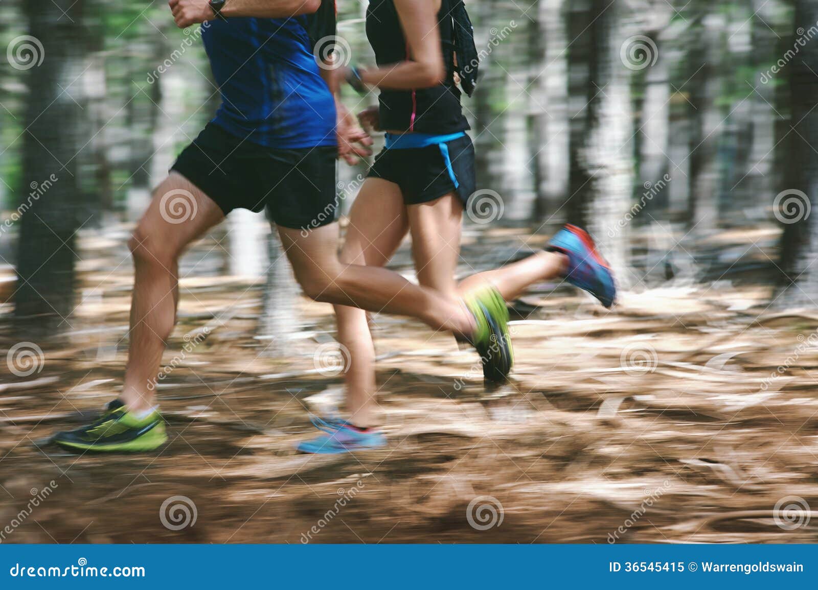 Motion Blur Forest Trail Run Stock Image - Image of runner, path: 36545415