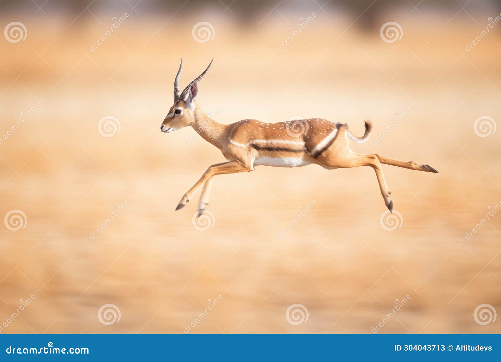 Motion Blur of Gazelle Moving Swiftly Stock Image - Image of shot ...