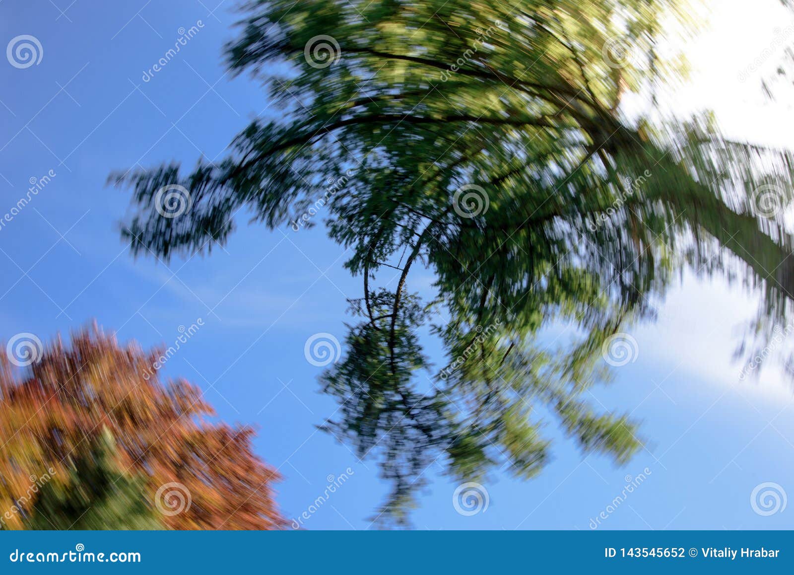 Motion blur sky look up stock photo. Image of sunlight - 143545652