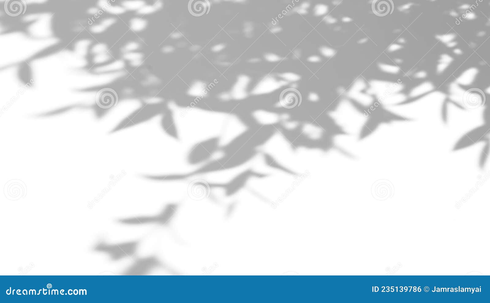 Gray Shadows Leaf in Wind Blowing Overlay on White Wall Stock Footage ...
