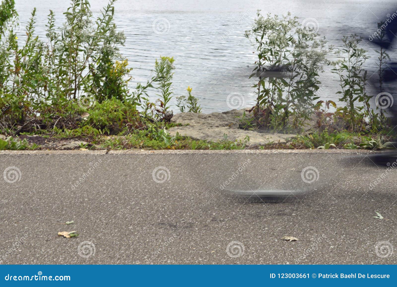 Motion Patterns of Invisible Bicycle Stock Image - Image of shrubs ...