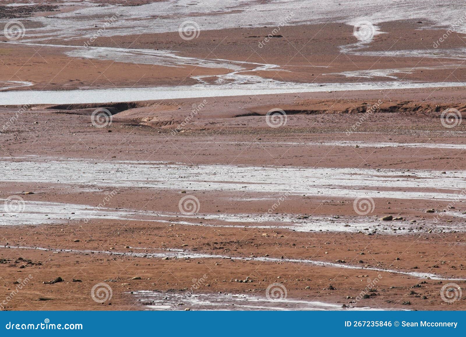 The Motion of the Tides Carves and Changes the Seabed of the Minas ...