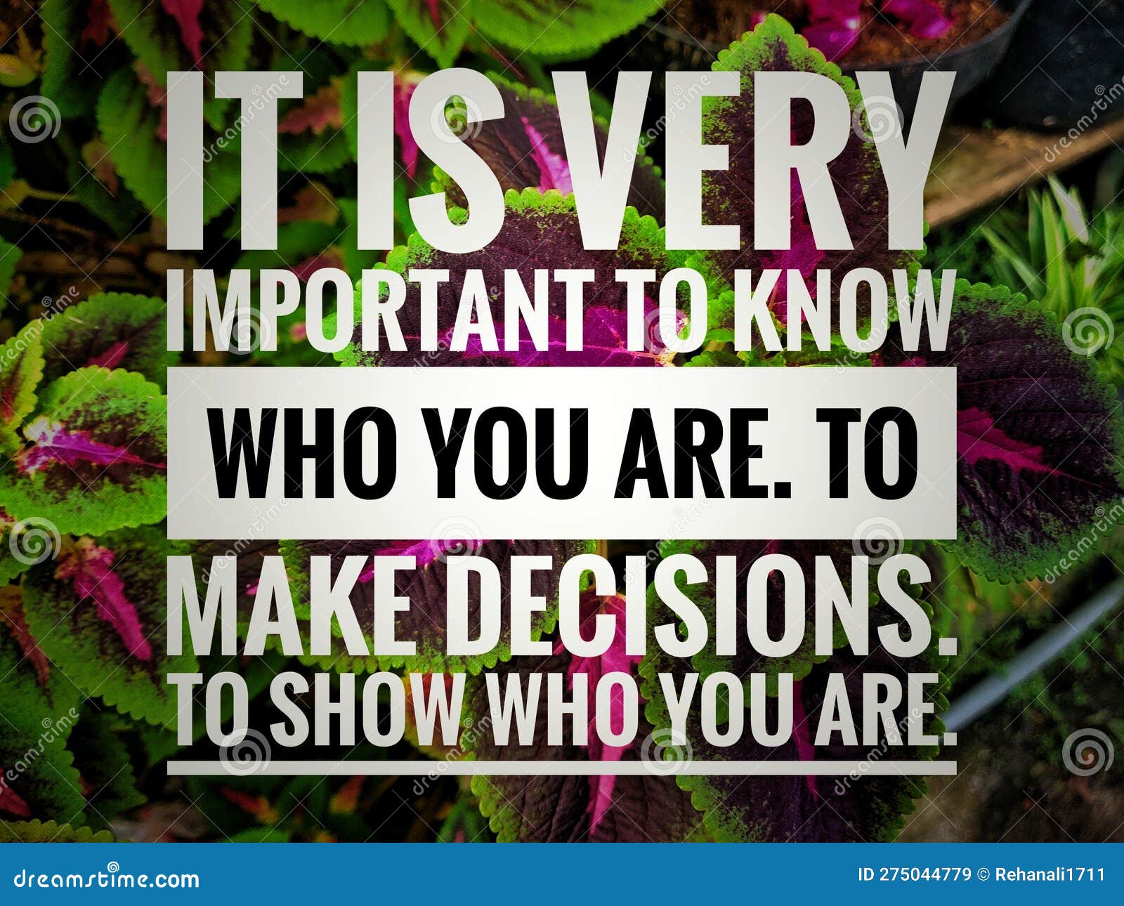 Motivation Inspiration Quotes for Success Business Attitude Self ...