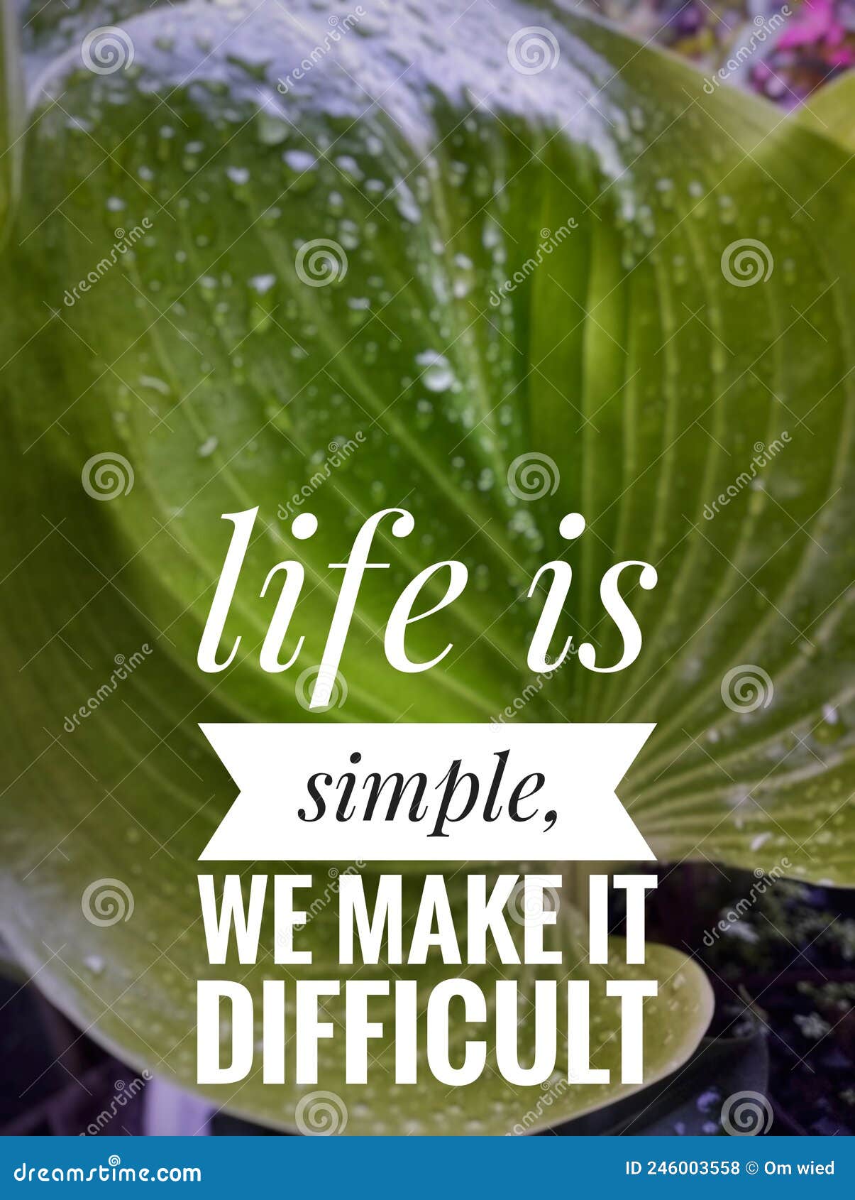 Motivation Quote & X22;life is Simple, we Make it Difficult& X22 ...