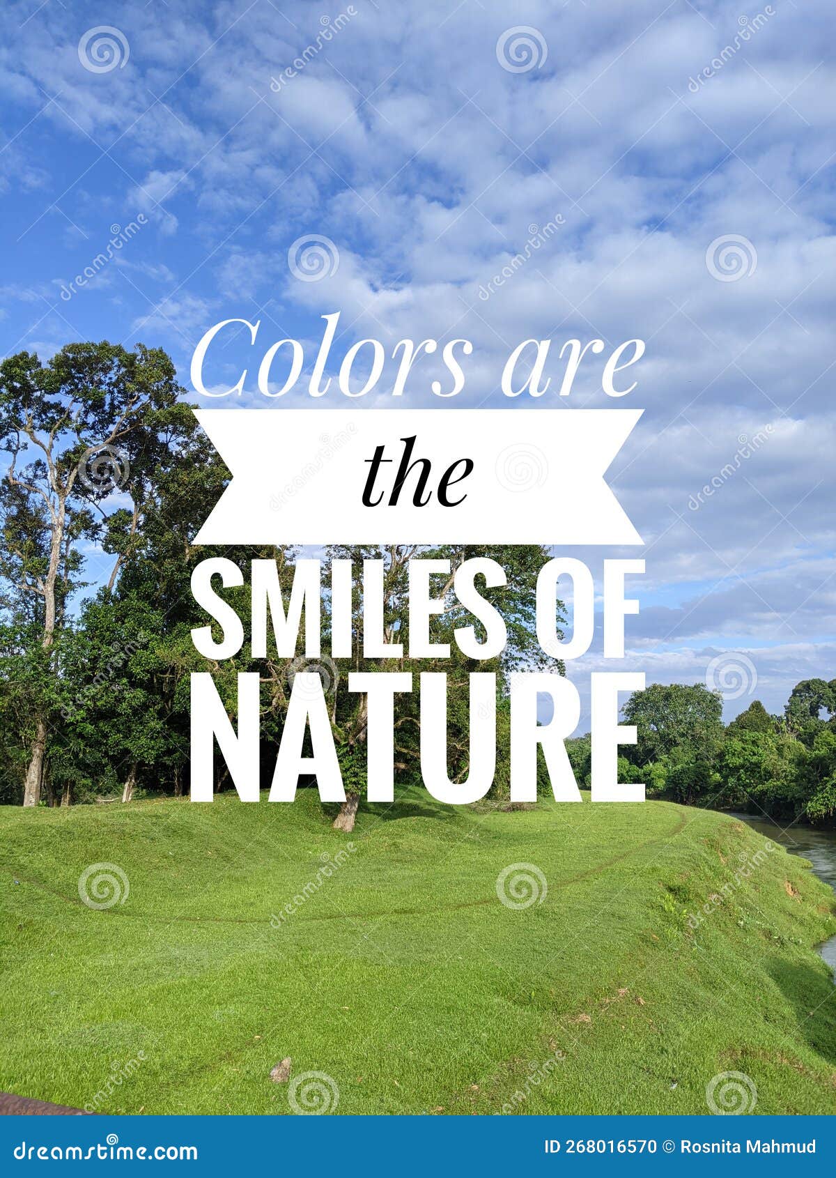 Motivational Quote about Life with Nature Background Stock Photo ...