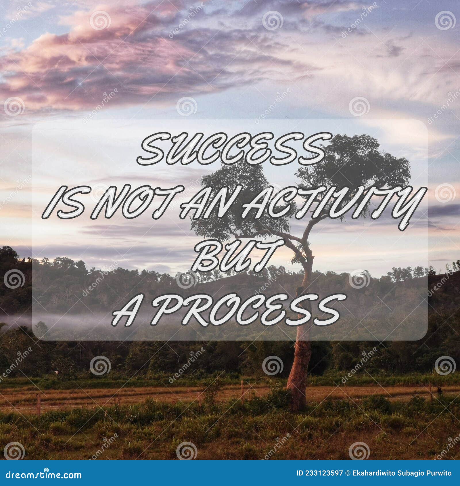 Motivational Quote. Success is Not an Activity but a Process Stock ...