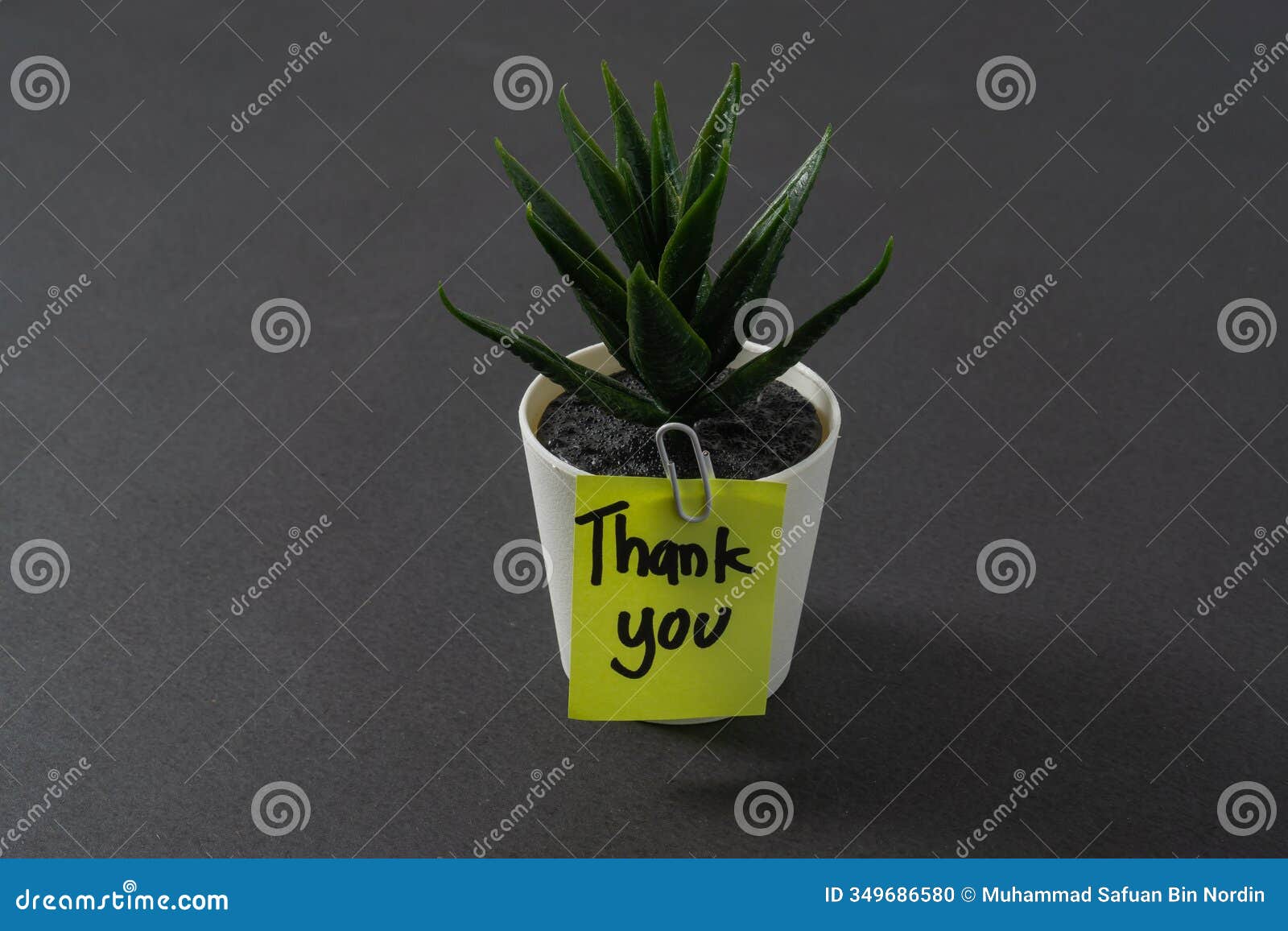 Motivational Words for Personal Development, Thank You, Inspirational ...