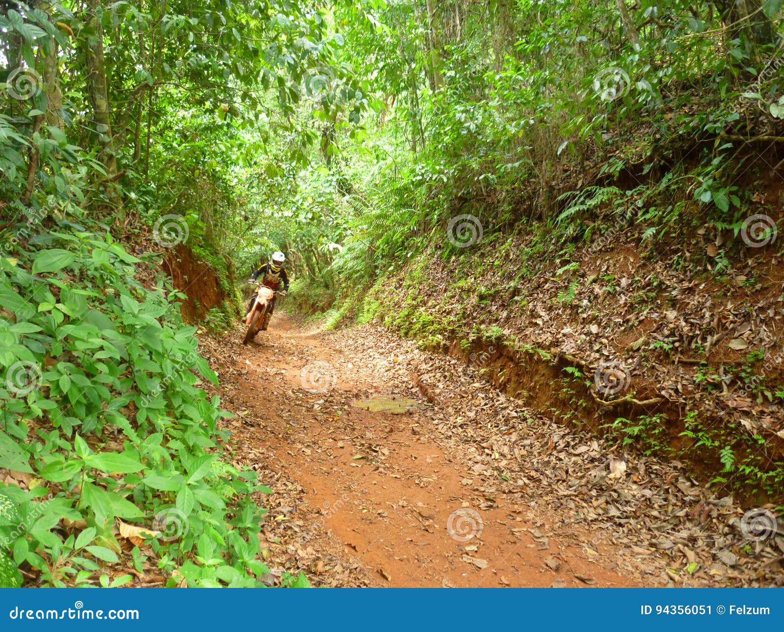 Motocross on the forest stock image. Image of competition - 94356051