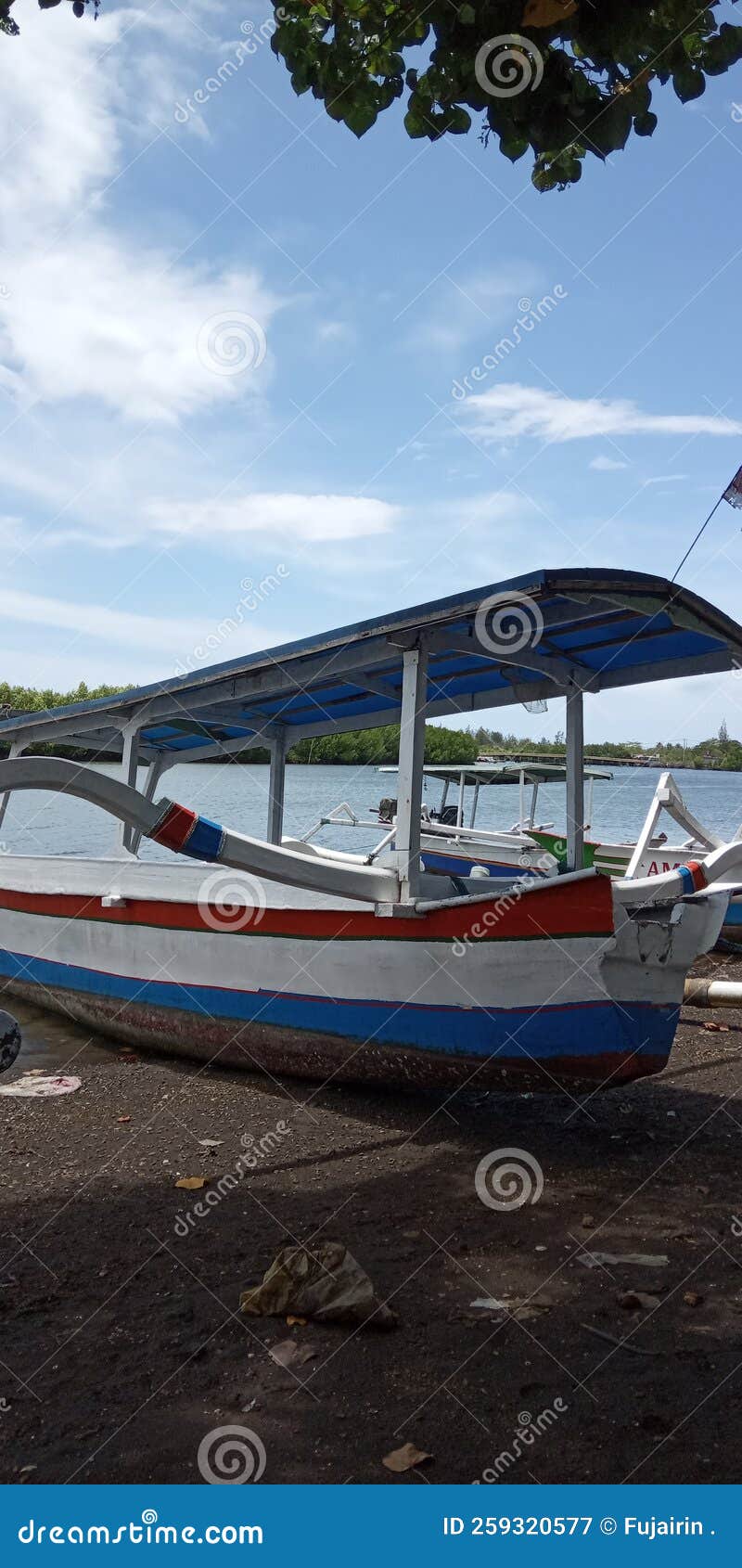 Motor Boat with Mangrove Ecosystem Stock Image - Image of harbor ...