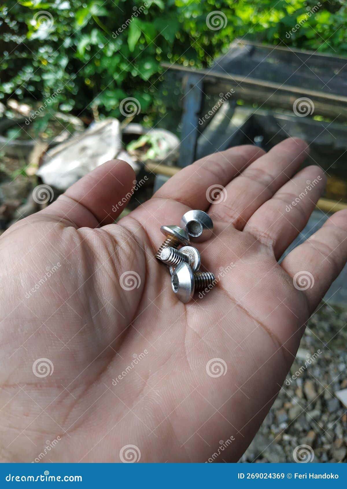 A Motor Bolt in the Palm of a Mechanic S Hand Stock Image - Image of ...
