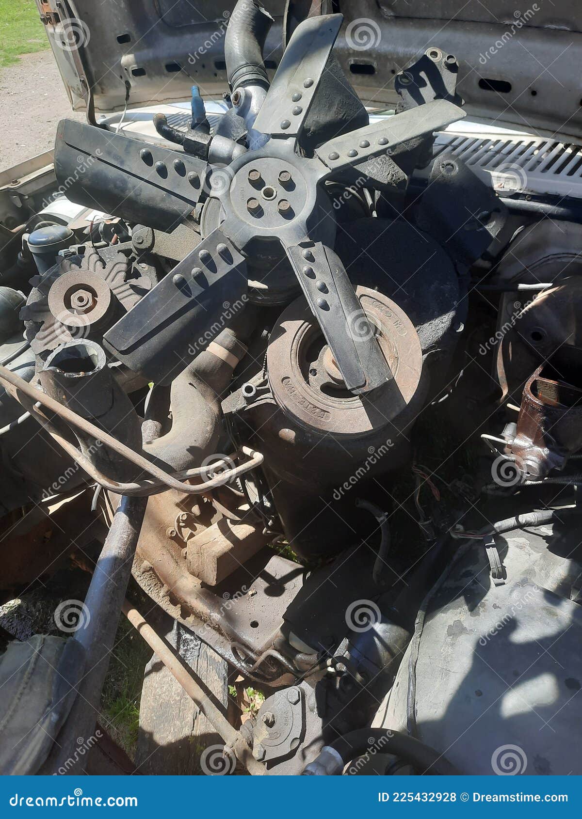 Motor Head Chained from Tree Stock Photo - Image of tree, head: 225432928