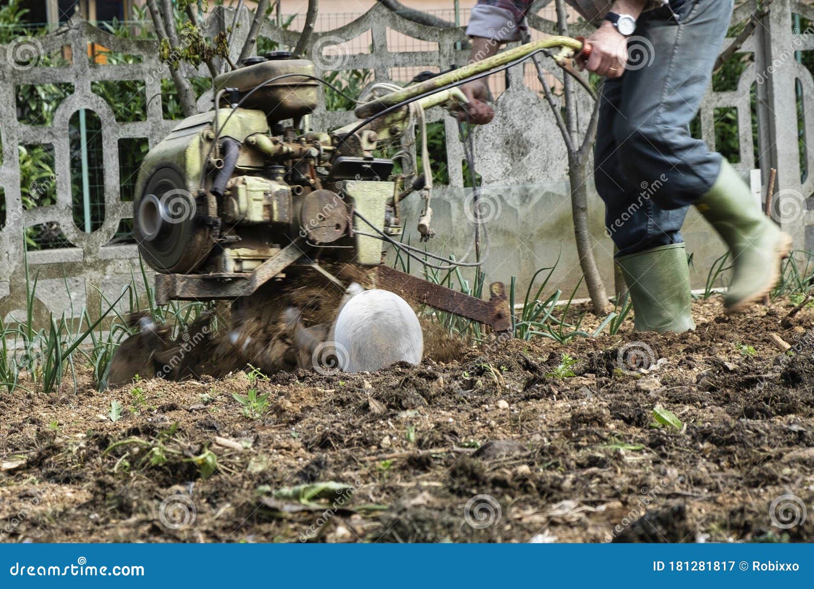 Motor hoe plows land stock image. Image of machinery - 181281817