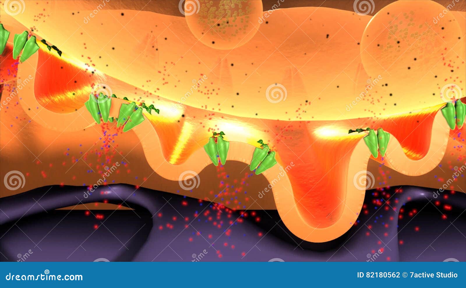 Motoneuron Cartoons, Illustrations & Vector Stock Images - 9 Pictures ...