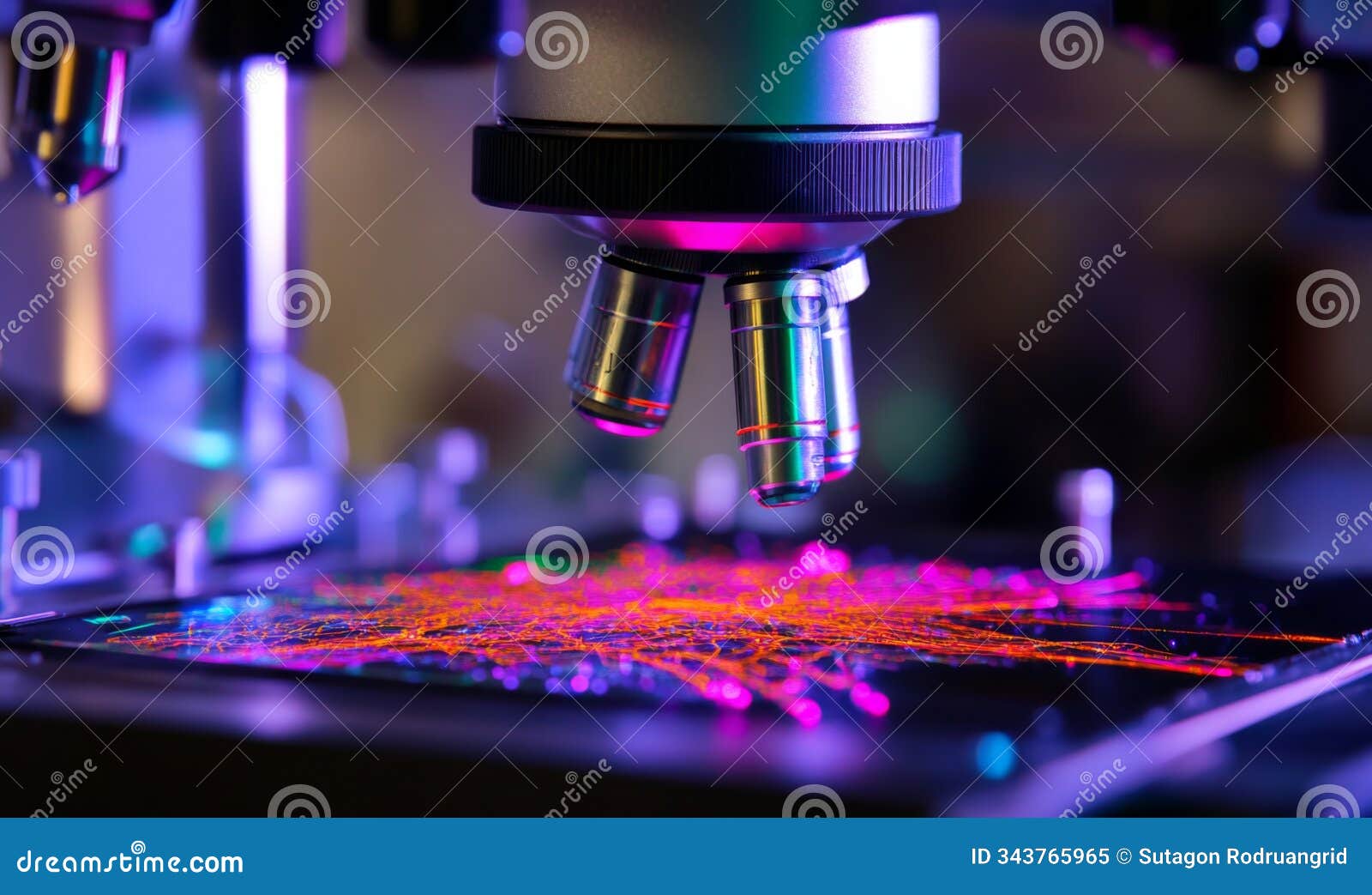 Motor Neuron Under the Microscope in Lab Stock Image - Image of ...