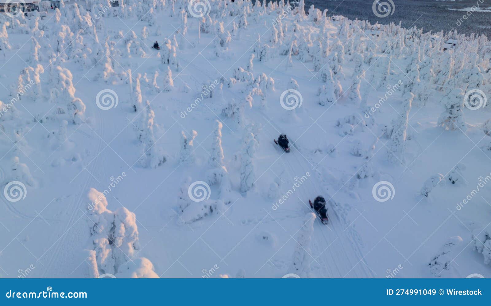 Motor Sledges Driving in Lapland 库存图片 - 图片 包括有 马达, 按照: 274991049