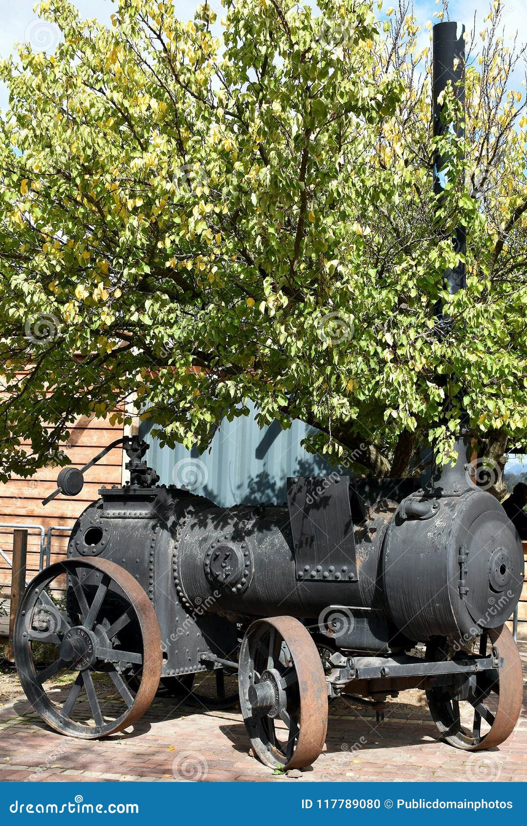 Motor Vehicle, Vehicle, Tree, Plant Picture. Image: 117789080