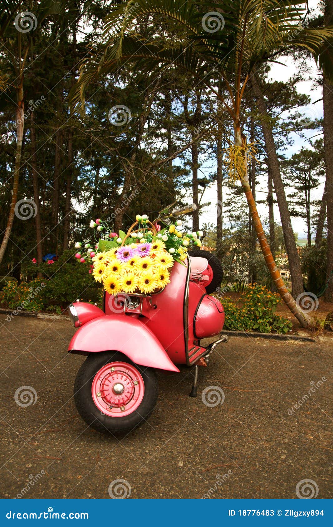 1,771 Motorcycle Flowers Photos - Free & Royalty-Free Stock Photos from ...