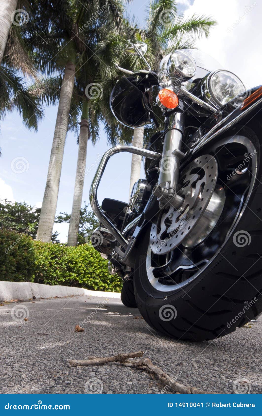Motorcycle Close Up with Palm Trees Stock Image - Image of ...