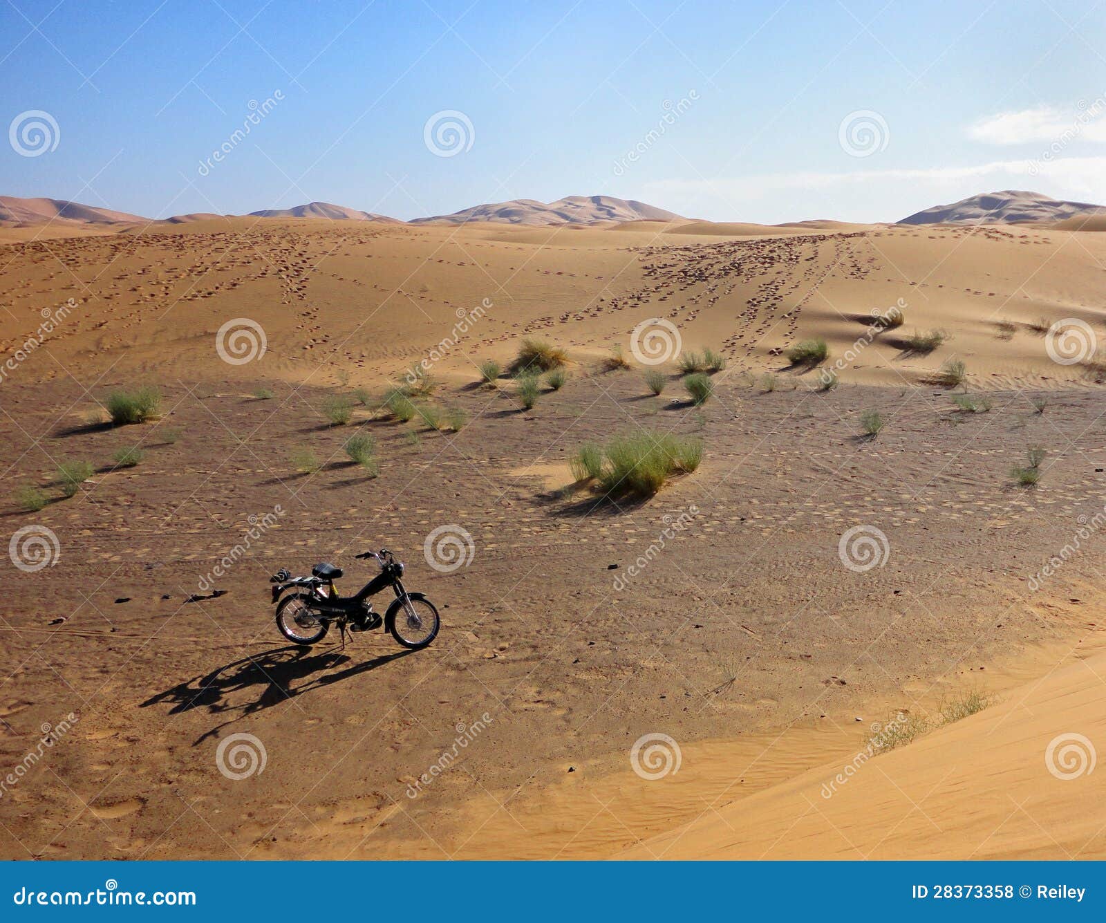 Motorcycle in the desert stock photo. Image of open, adventure - 28373358