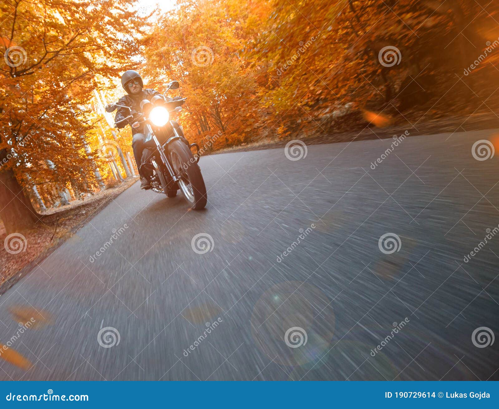 Motorcycle Driver Riding in Autumn Forest Stock Photo - Image of ...