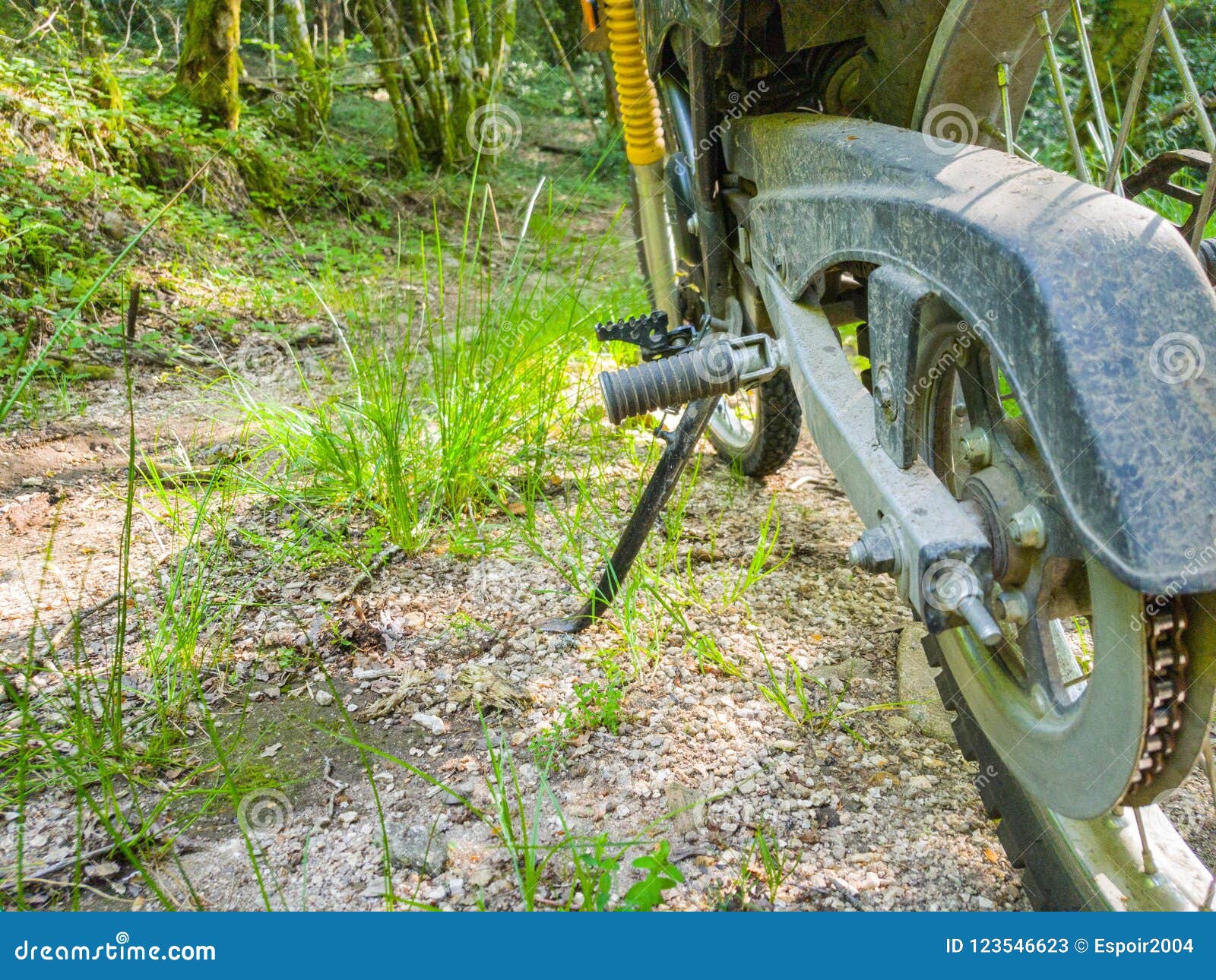 Motorcycle on the Forest Trail Side View S Stock Image - Image of ...