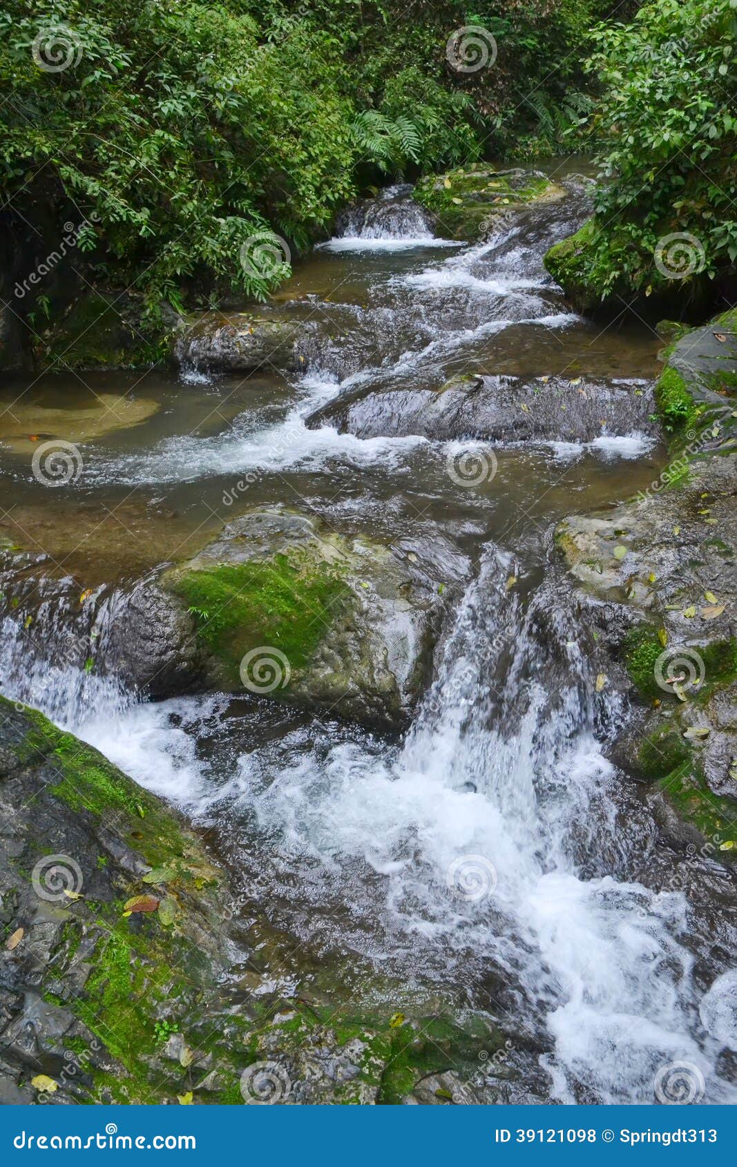 Brook stock photo. Image of natrual, sights, view, river - 39121098