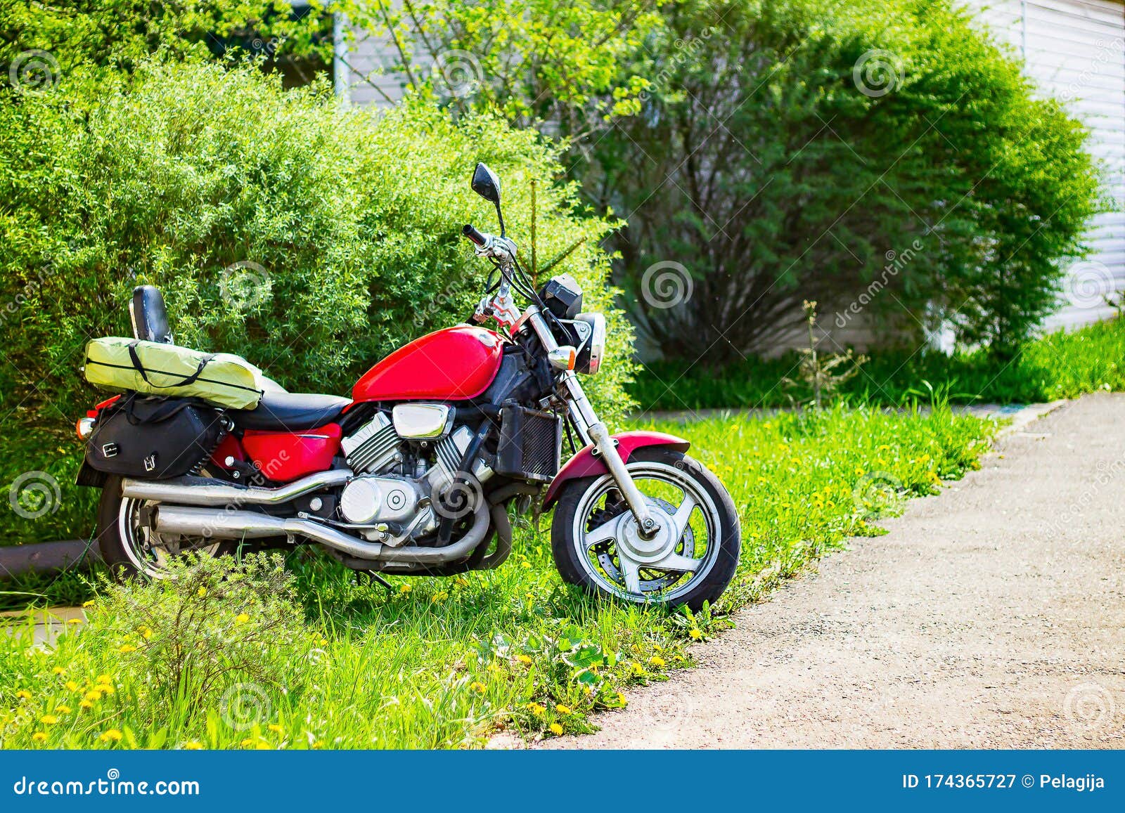 Motorcycle in the Nature among Greenery Stock Image - Image of tourism ...