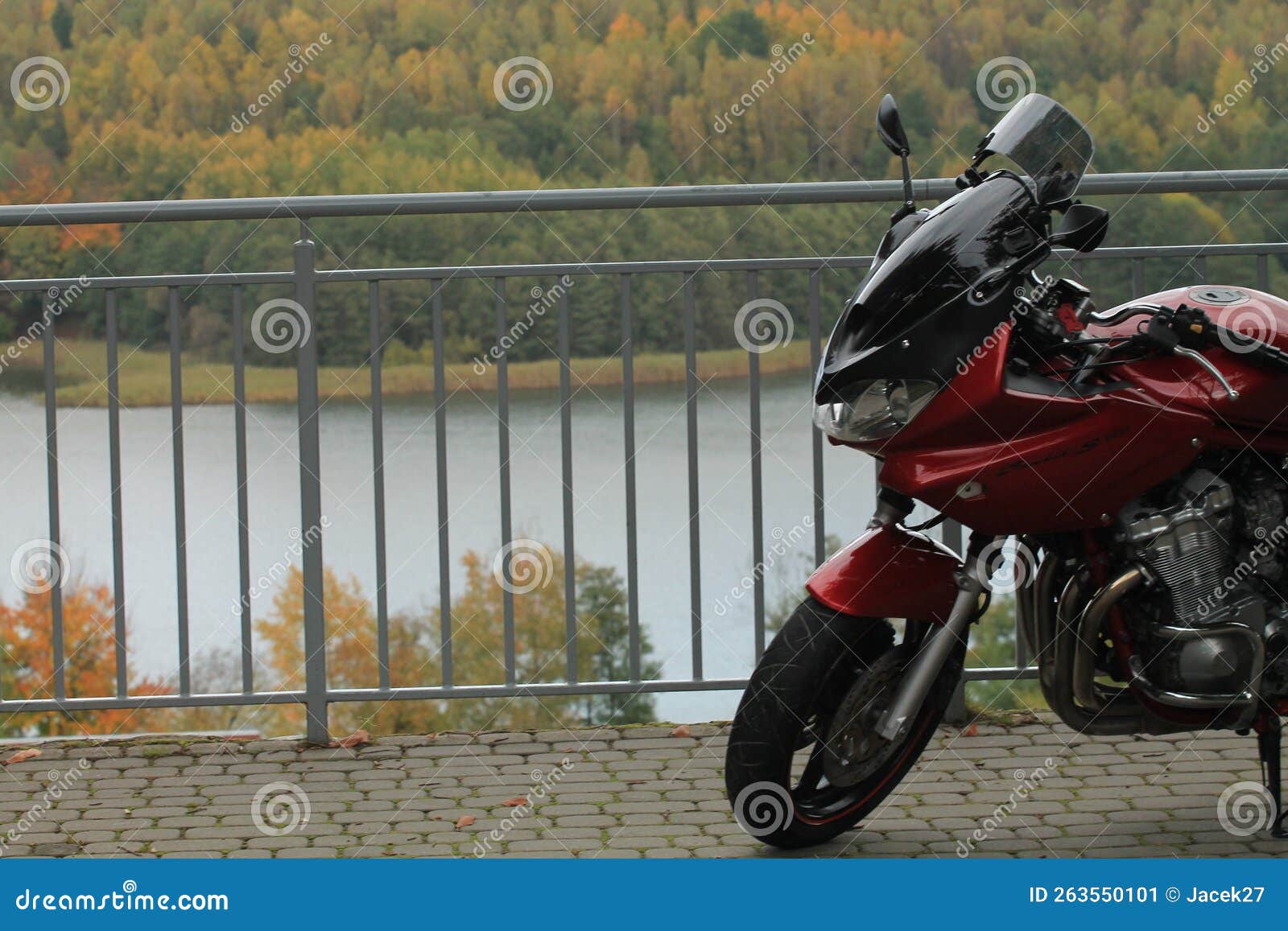 Motorcycle in Park. editorial photo. Image of cruiser - 263550101