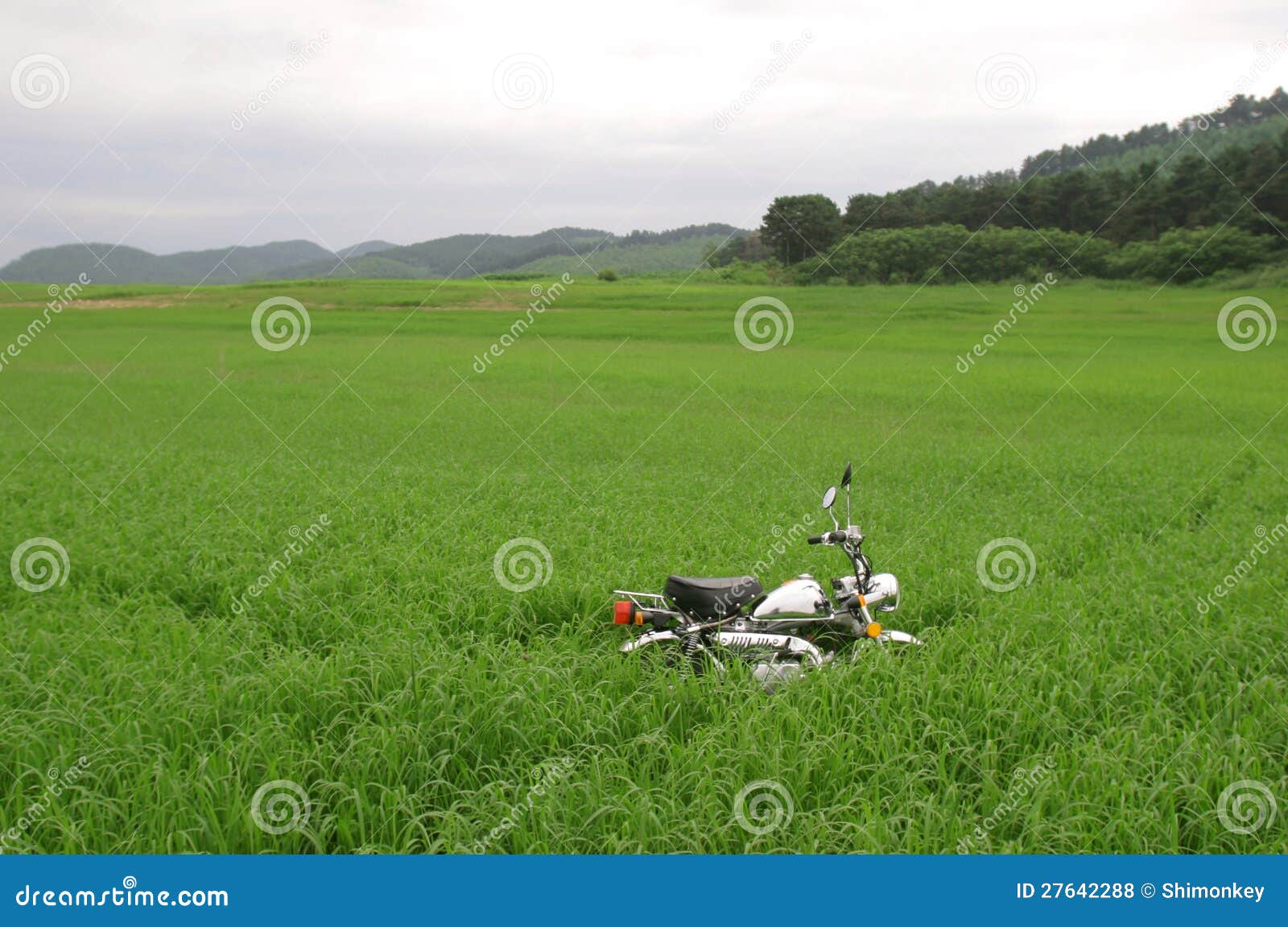 A Motorcycle Parked on the Grass by the Lake Stock Photo - Image of ...
