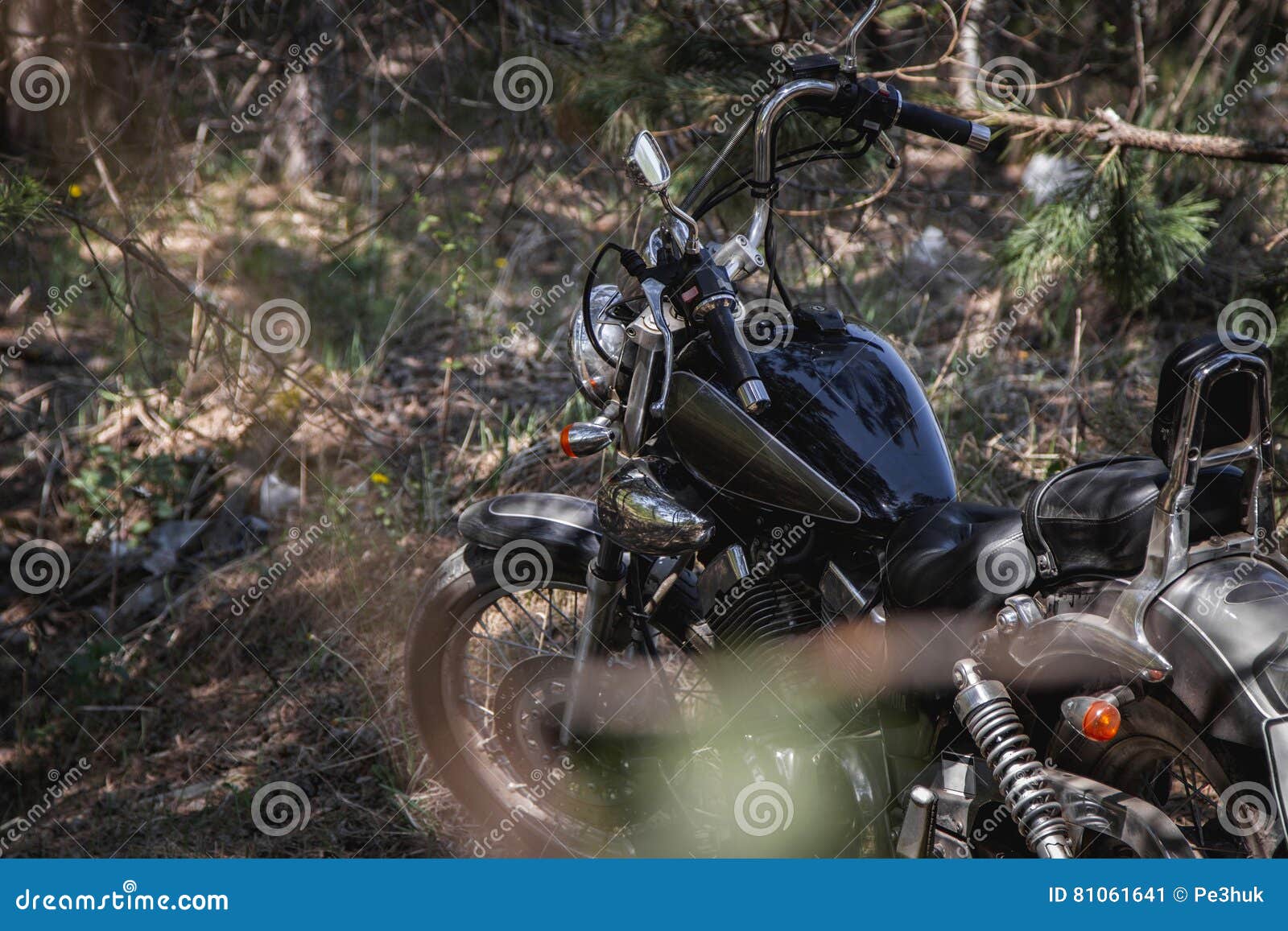Motorcycle Parked in the Woods Stock Image - Image of light, forest ...