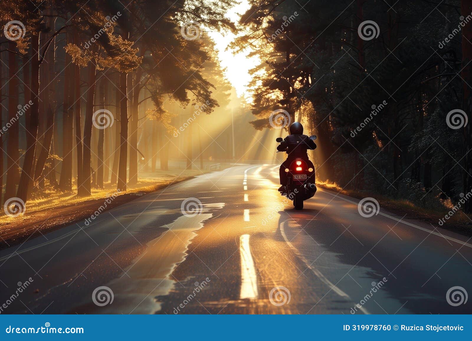 Motorcycle Rider Driving through Forest Road Ai Photo Stock ...