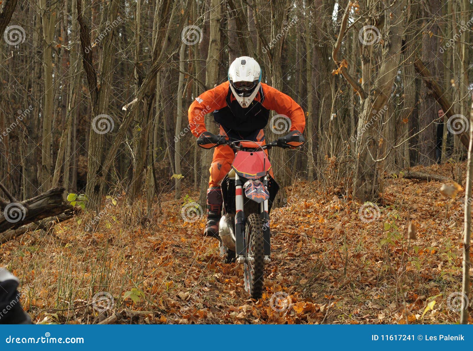 Motorcycle Rider in a Forest Stock Image - Image of colors, trees: 11617241
