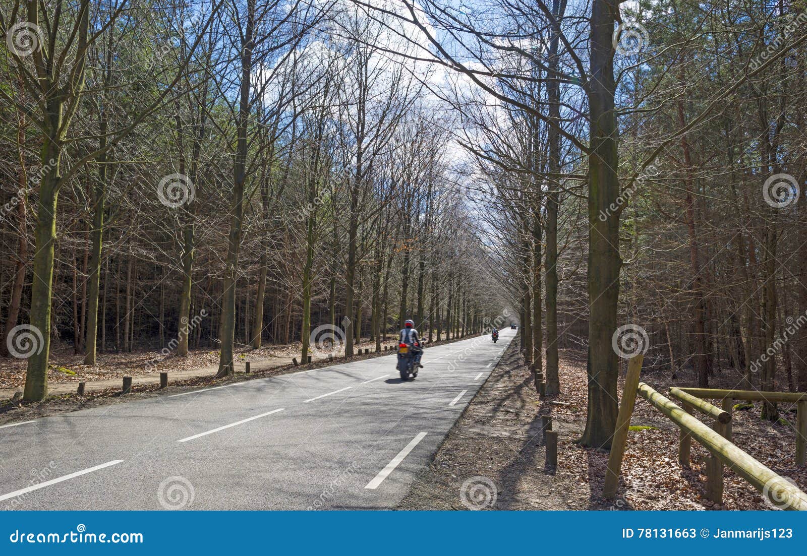 Motorcycle on a Road through a Forest Stock Image - Image of nature ...